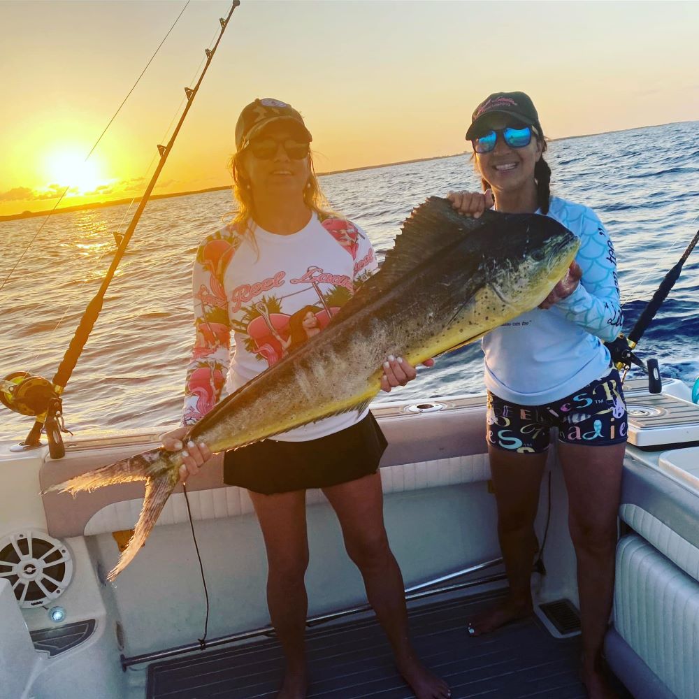 Shorts – Reel Ladies